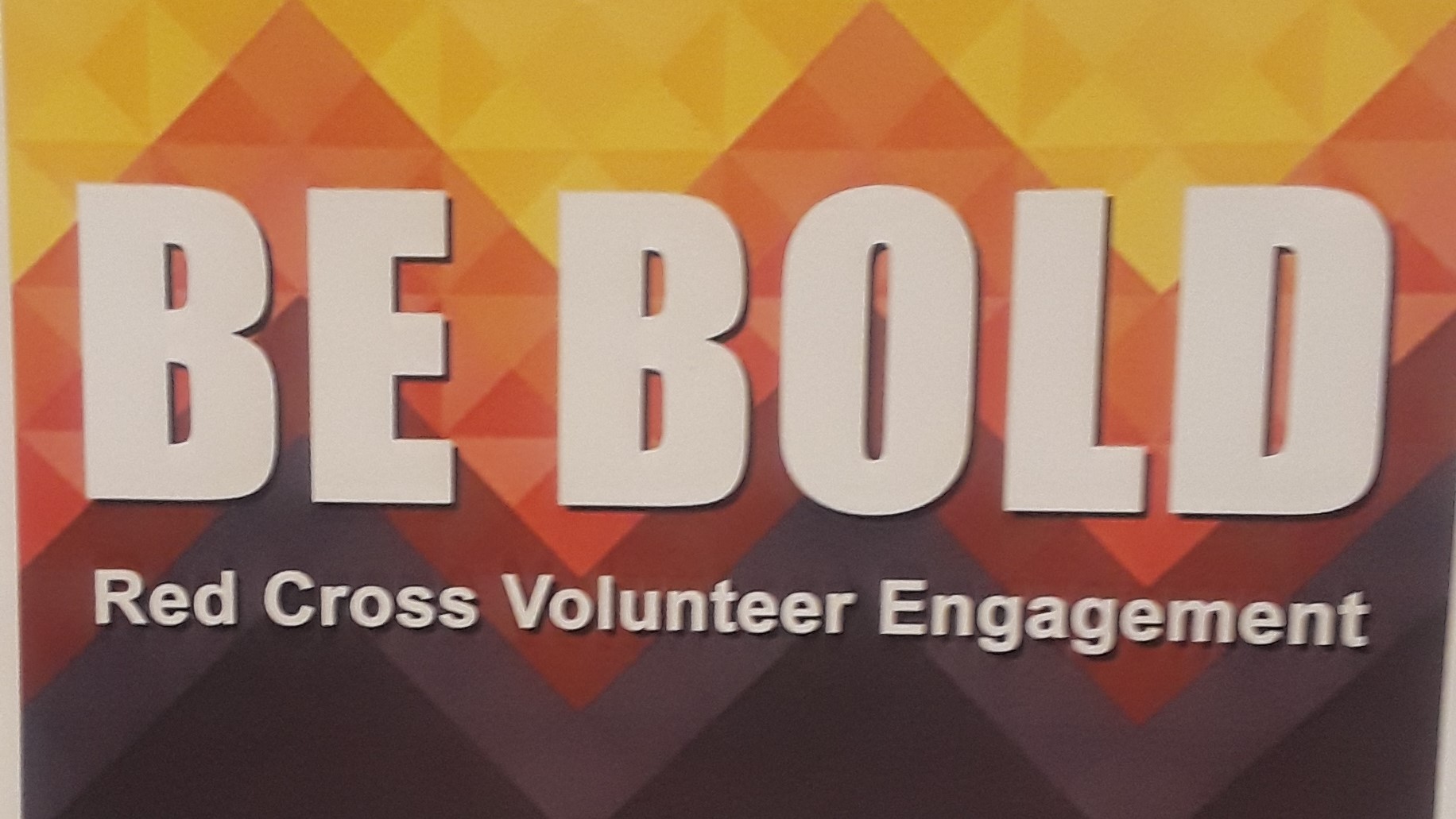 Be Bold… Lessons for Volunteer Engagement Professionals - VQ Strategies